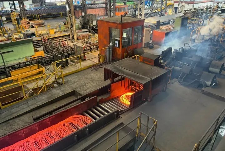 Improved production performance after wire rod mill upgrade | WIRE